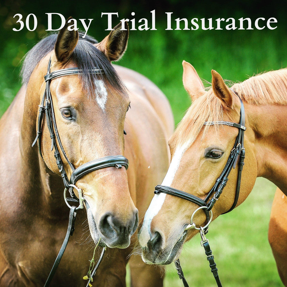 30 Day Trial - Bit Insurance – Bit Bank Australia