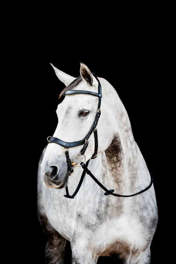 Micklem 2 Multi Bridle – Bit Bank Australia